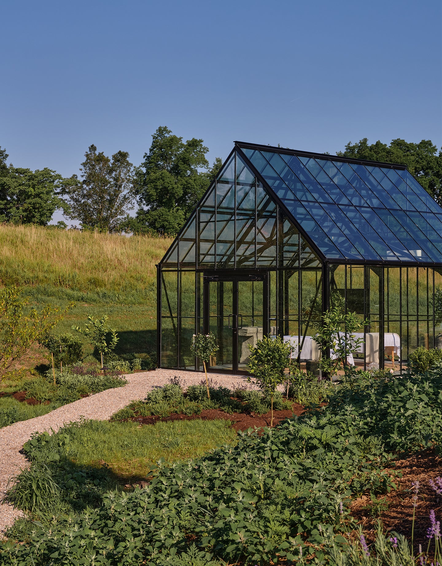 Introducing The Oak Essentials Wellness Club | Oak Essentials